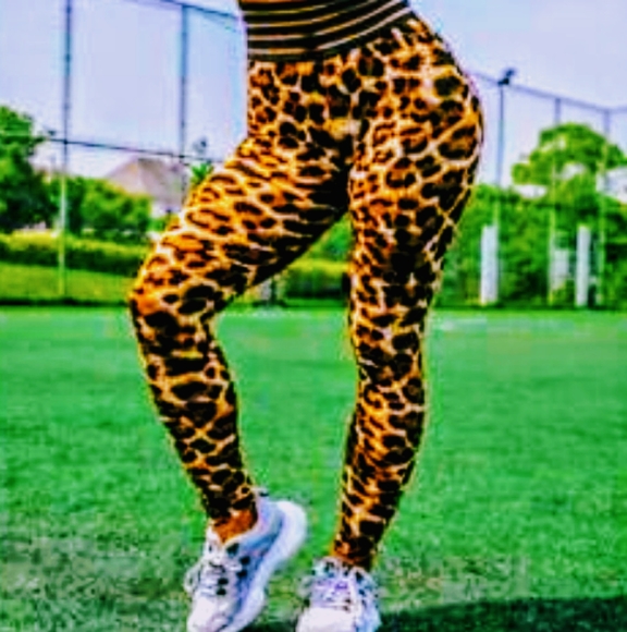 BODYTEK | Pants & Jumpsuits | Nwt Bodytek Highwaist Leggins | Poshmark